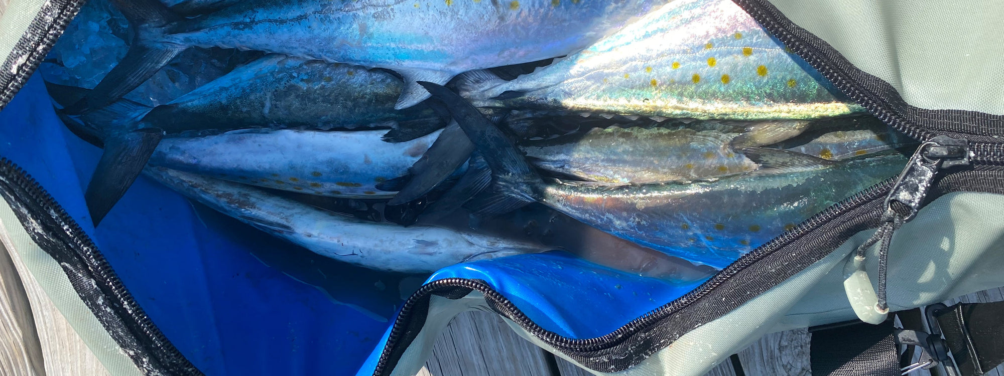 Fish Kill Bags | Fish Cooler Bags | Calcutta Outdoors