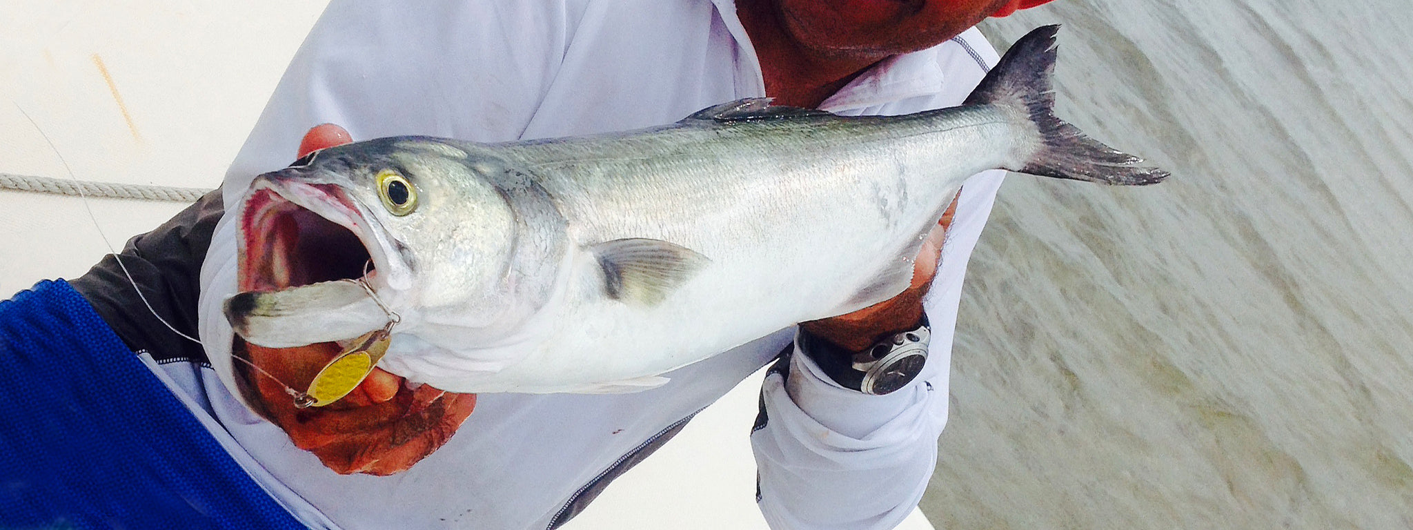 Sea Striker Lures & Baits | Calcutta Outdoors