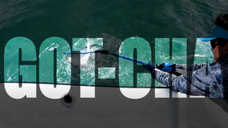 Got-cha Fishing Lures | Calcutta Outdoors