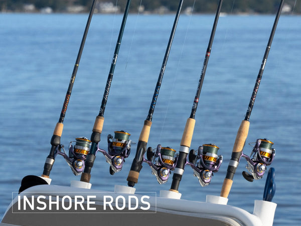 Star Rods | Calcutta Outdoors